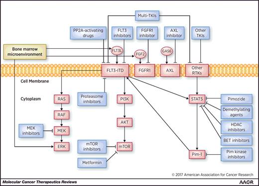 FLT3 Inhibitors in Acute Myeloid Leukemia: Current Status and Future ...