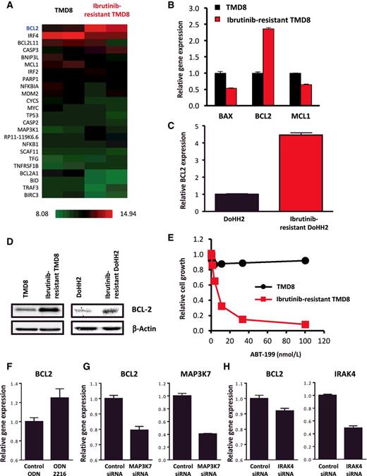 Combination of Ibrutinib and ABT-199 in Diffuse Large B-Cell Lymphoma ...