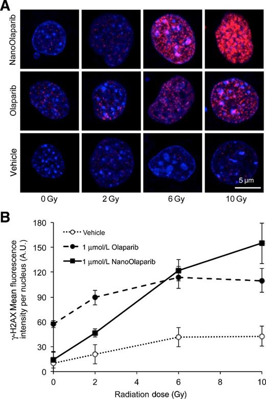 Nanoformulation of Olaparib Amplifies PARP Inhibition and Sensitizes ...