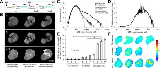 Nanoformulation of Olaparib Amplifies PARP Inhibition and Sensitizes ...