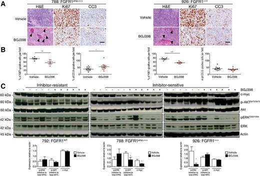 Cisplatin Increases Sensitivity to FGFR Inhibition in Patient-Derived ...
