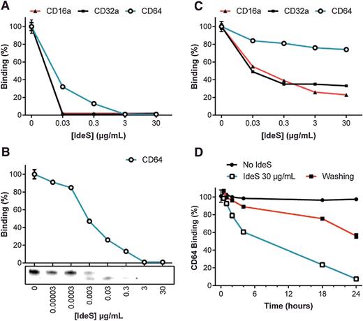 Enzymatic Inactivation of Endogenous IgG by IdeS Enhances Therapeutic ...