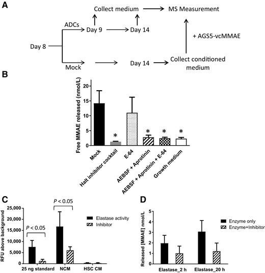 A Potential Mechanism for ADC-Induced Neutropenia: Role of Neutrophils ...