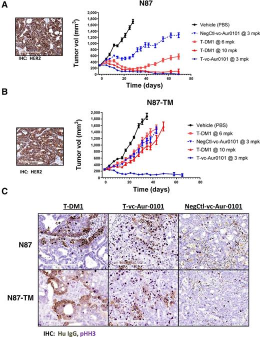 Caveolae-Mediated Endocytosis as a Novel Mechanism of Resistance to Trastuzumab Emtansine (T-DM1 ...