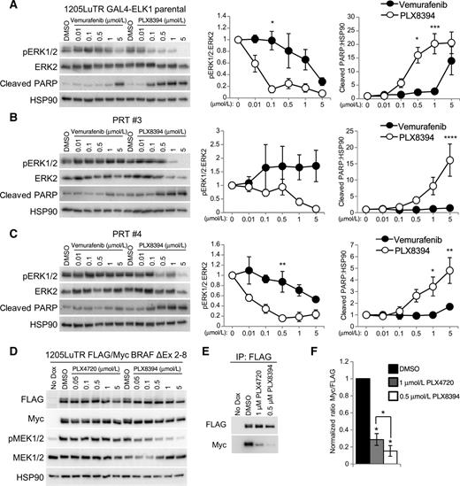 Response and Resistance to Paradox-Breaking BRAF Inhibitor in Melanomas ...