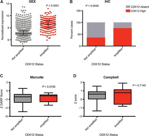 Evaluation of CDK12 Protein Expression as a Potential Novel Biomarker ...