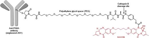 Antitumor Activity of MEDI3726 (ADCT-401), a Pyrrolobenzodiazepine ...
