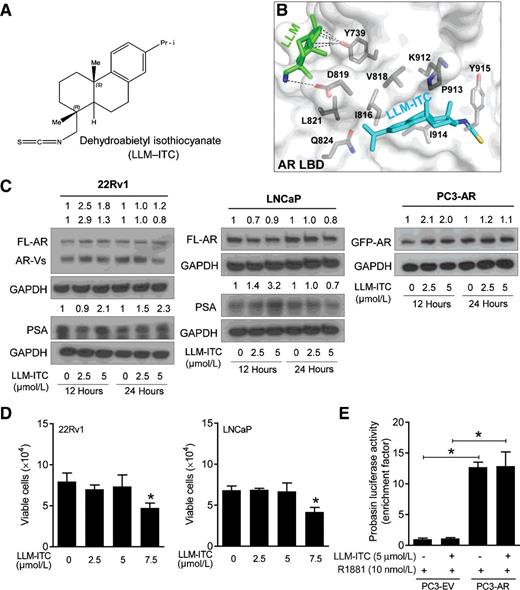 Therapeutic Potential of Leelamine, a Novel Inhibitor of Androgen ...