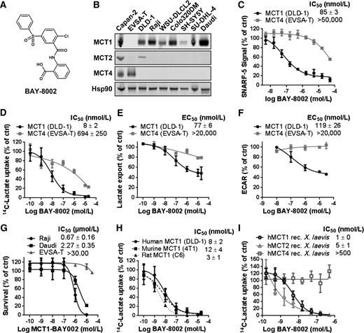 Preclinical Efficacy of the Novel Monocarboxylate Transporter 1 Inhibitor BAY-8002 and ...