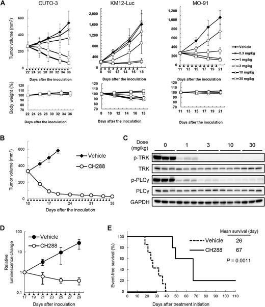 Selective TRK Inhibitor CH7057288 against TRK Fusion-Driven Cancer ...