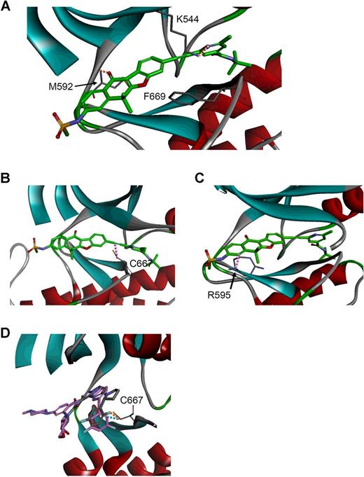 Selective TRK Inhibitor CH7057288 against TRK Fusion-Driven Cancer ...