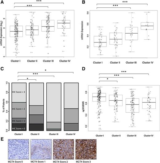 Selective Inhibition of the Lactate Transporter MCT4 Reduces Growth of ...