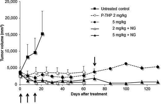 Augmentation of the Enhanced Permeability and Retention Effect with ...