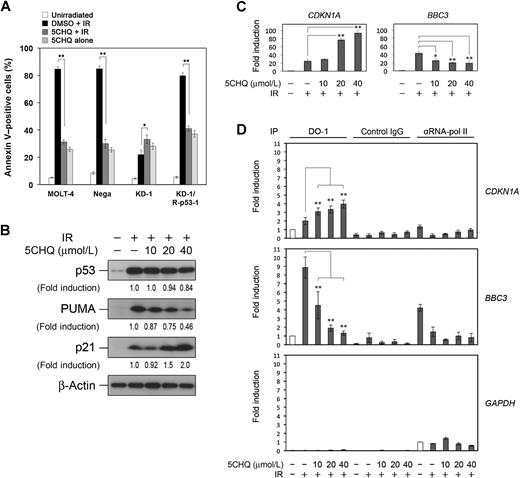 A Chemical Modulator of p53 Transactivation that Acts as a ...