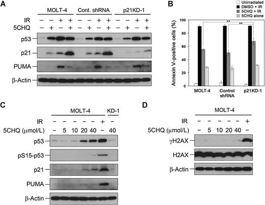 A Chemical Modulator of p53 Transactivation that Acts as a ...