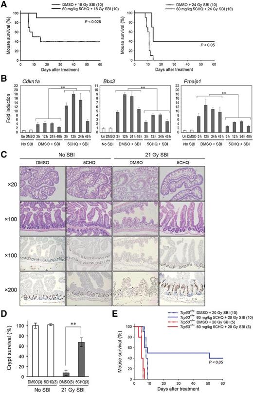 A Chemical Modulator of p53 Transactivation that Acts as a ...