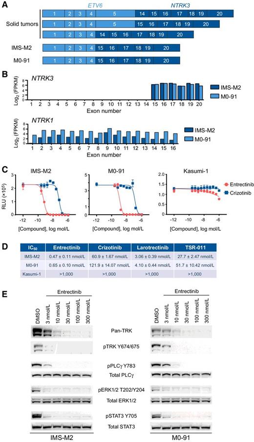 Antitumor Activity of Entrectinib, a Pan-TRK, ROS1, and ALK Inhibitor ...