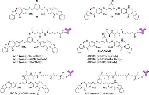 A DNA-Interacting Payload Designed to Eliminate Cross-Linking Improves ...