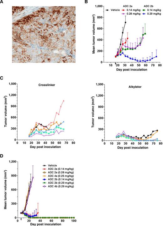 A DNA-Interacting Payload Designed to Eliminate Cross-Linking Improves ...