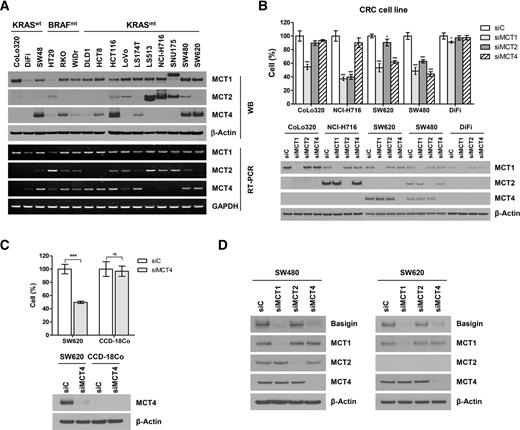 MCT4 Expression Is a Potential Therapeutic Target in Colorectal Cancer ...