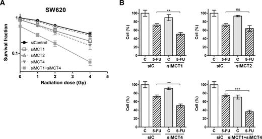 MCT4 Expression Is a Potential Therapeutic Target in Colorectal Cancer ...