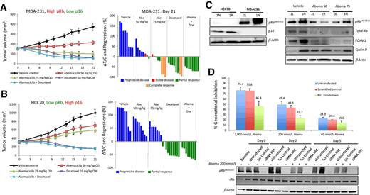 Preclinical Activity of Abemaciclib Alone or in Combination with ...