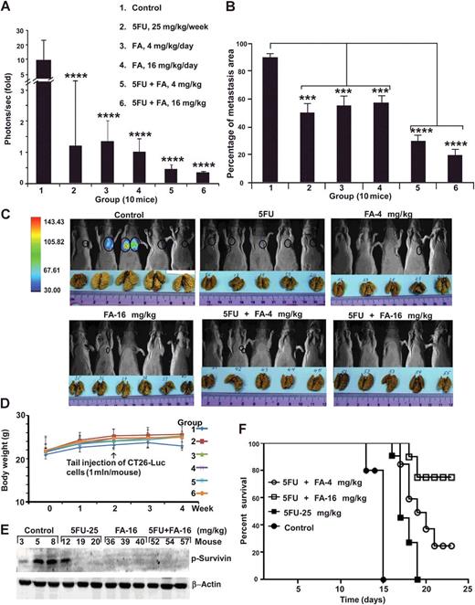 Targeting PRPK Function Blocks Colon Cancer Metastasis | Molecular ...