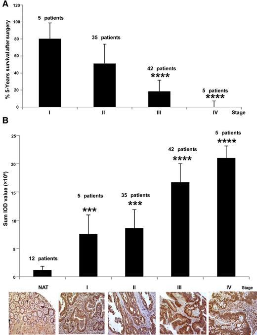 Targeting PRPK Function Blocks Colon Cancer Metastasis | Molecular ...