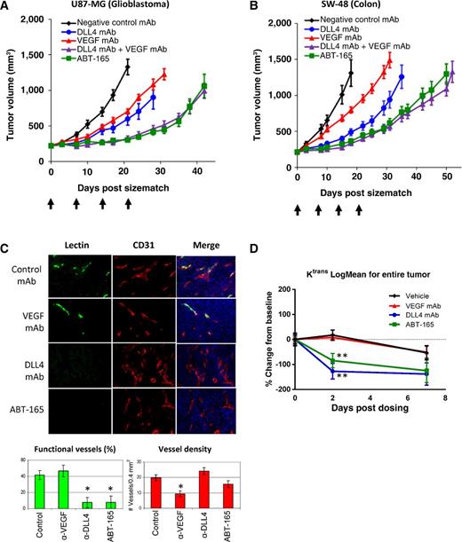 ABT-165, a Dual Variable Domain Immunoglobulin (DVD-Ig) Targeting DLL4 ...