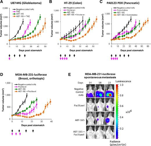 ABT-165, a Dual Variable Domain Immunoglobulin (DVD-Ig) Targeting DLL4 ...