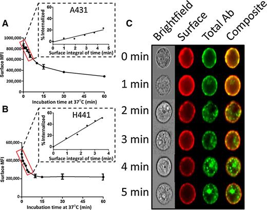 Mechanistic Modeling of Antibody–Drug Conjugate Internalization at the ...