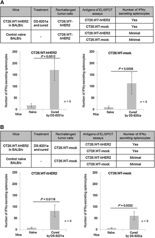 A HER2-Targeting Antibody–Drug Conjugate, Trastuzumab Deruxtecan (DS ...