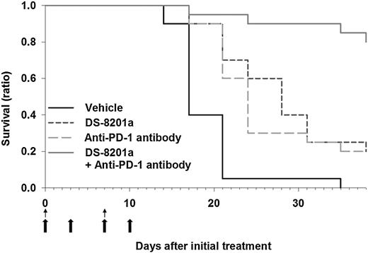 A HER2-Targeting Antibody–Drug Conjugate, Trastuzumab Deruxtecan (DS-8201a), Enhances Antitumor ...