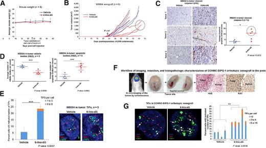 Induced Telomere Damage to Treat Telomerase Expressing Therapy ...