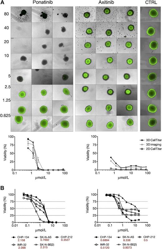A High-Content Screening of Anticancer Compounds Suggests the Multiple ...