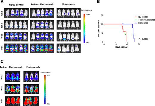 Antibody-Dependent Cellular Phagocytosis by Macrophages is a Novel ...