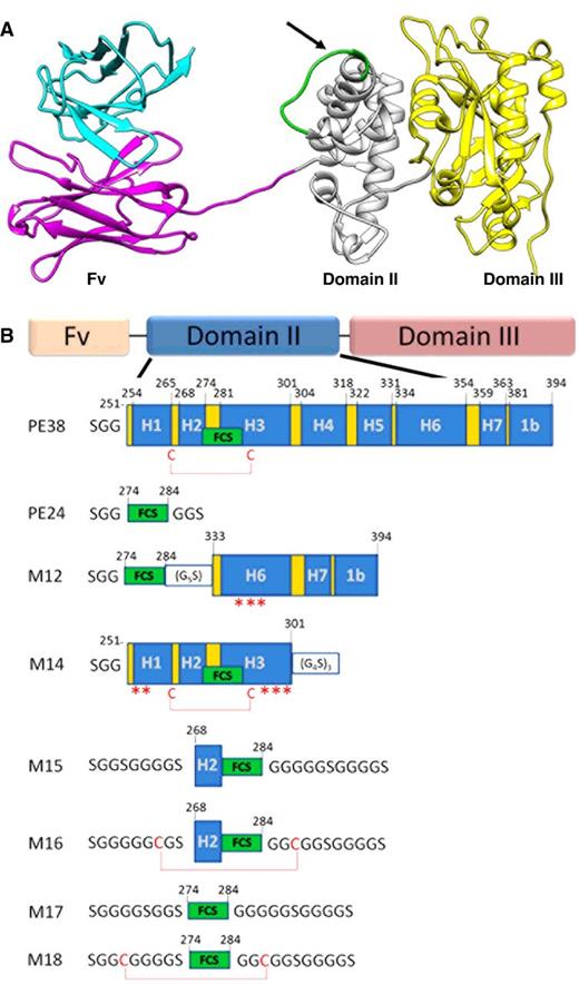 Improving the In Vivo Efficacy of an Anti-Tac (CD25) Immunotoxin by ...