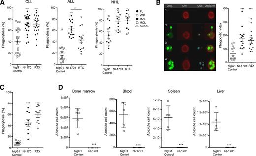 Preclinical Development of a Bispecific Antibody that Safely and ...
