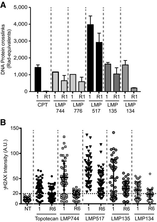 Novel Fluoroindenoisoquinoline Non-Camptothecin Topoisomerase I Inhibitors | Molecular Cancer ...
