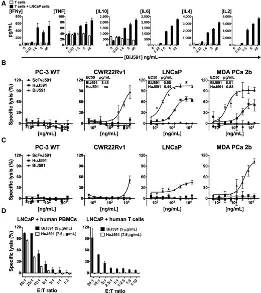 Anti-PSMA/CD3 Bispecific Antibody Delivery and Antitumor Activity Using ...