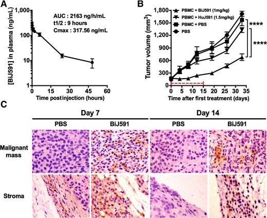 Anti-PSMA/CD3 Bispecific Antibody Delivery and Antitumor Activity Using ...