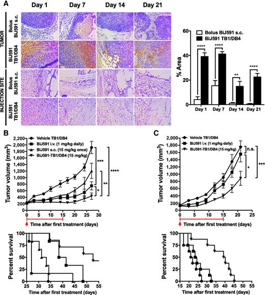 Anti-PSMA/CD3 Bispecific Antibody Delivery and Antitumor Activity Using ...