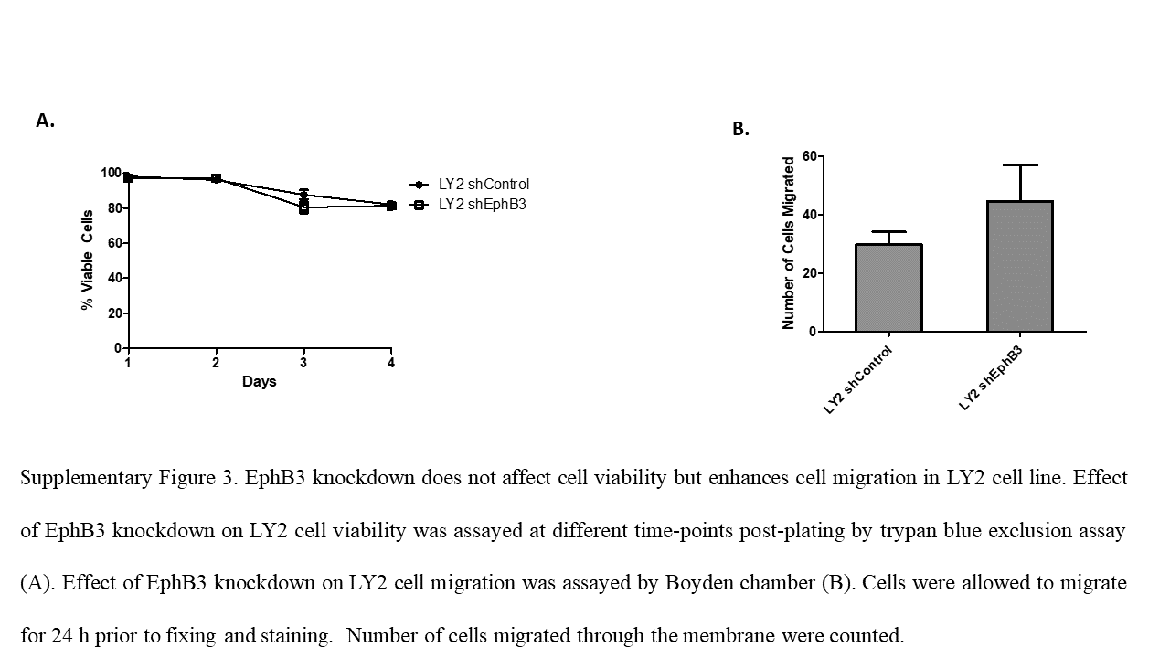Role of EphB3 Receptor in Mediating Head and Neck Tumor Growth, Cell ...