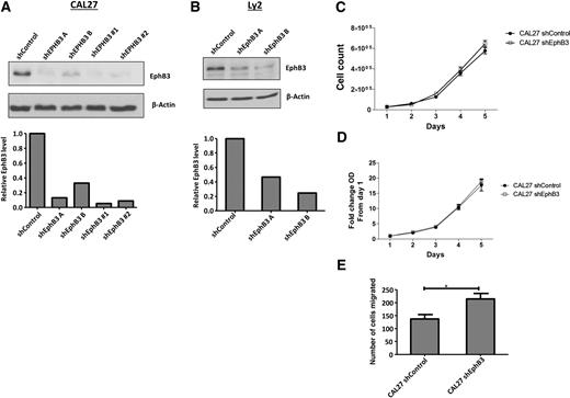 Role of EphB3 Receptor in Mediating Head and Neck Tumor Growth, Cell ...