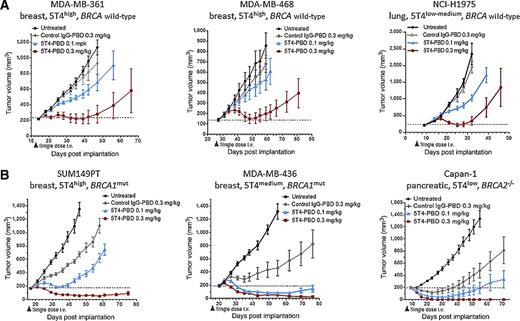 Improved Therapeutic Window in BRCA-mutant Tumors with Antibody-linked ...