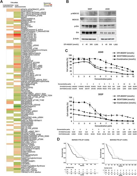 Tyrosine Threonine Kinase Inhibition Eliminates Lung Cancers by ...