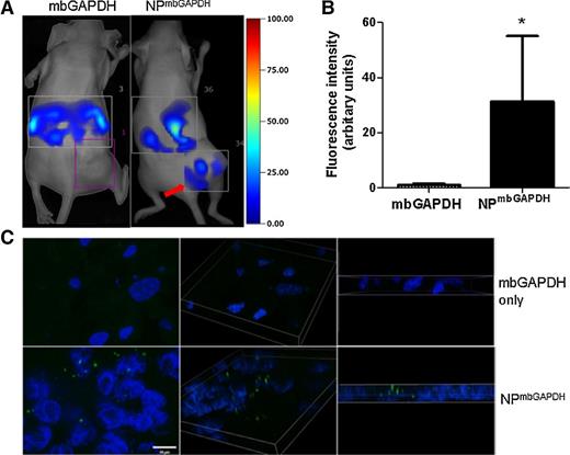 Anti-miRNA Oligonucleotide Therapy for Chondrosarcoma | Molecular ...
