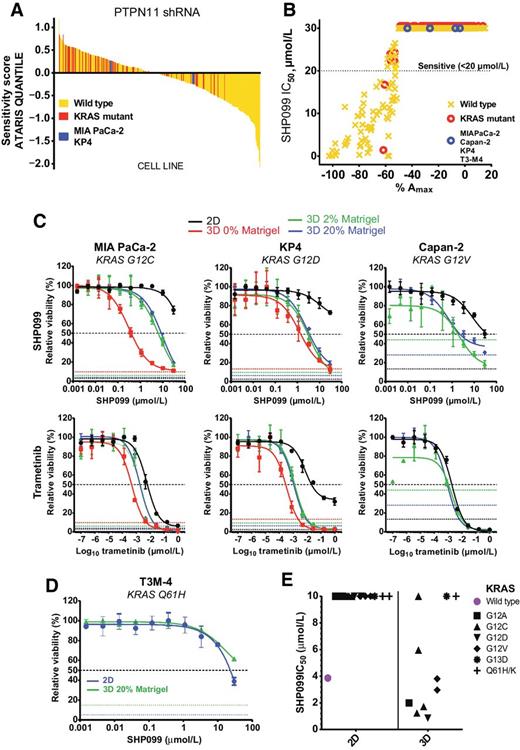 Tumor Intrinsic Efficacy by SHP2 and RTK Inhibitors in KRAS-Mutant ...