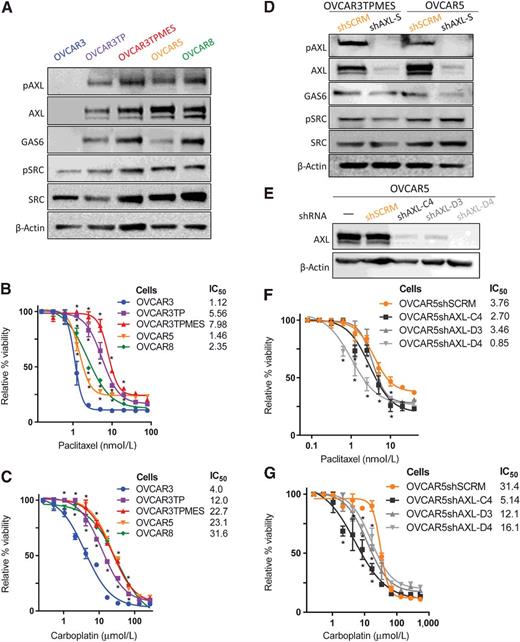 Therapeutic Inhibition of the Receptor Tyrosine Kinase AXL Improves ...