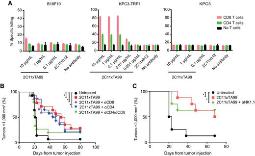 CD3-Bispecific Antibody Therapy Turns Solid Tumors into Inflammatory ...